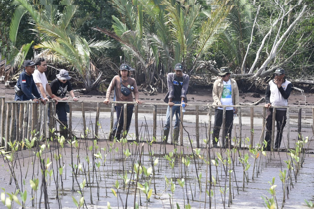 6 Kelompok Restorasi Mangrove Desa Teluk Pambang, Berhasil Bibitkan ...